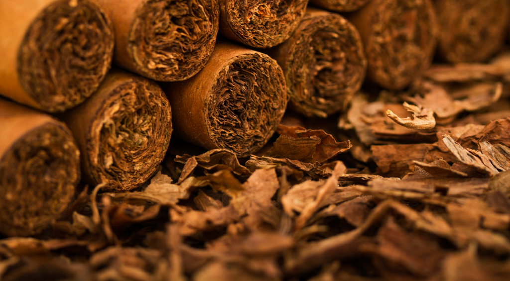 Cigars Basics: How to Store Your Cigars – CANTEROS.nz